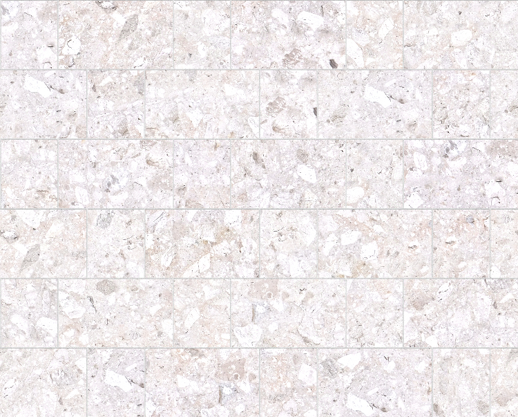 Terrazzo Flemish — Architextures