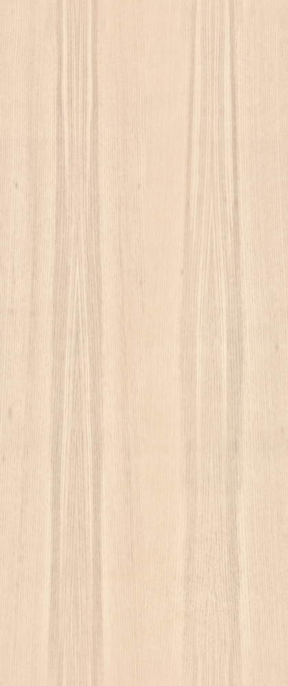 Birch Veneer — Architextures